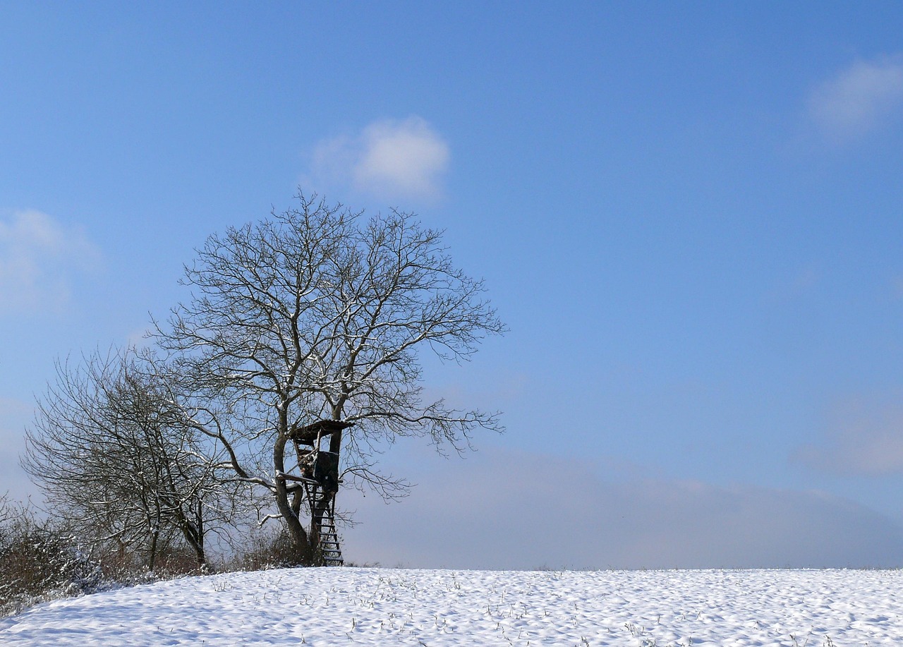 Hiver Des Arbres Neige - Photo gratuite sur Pixabay - Pixabay