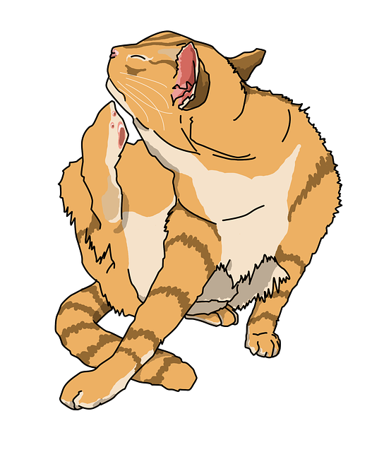 Plus de 4 000 illustrations gratuites de Je Ne Sais Pas et de ...