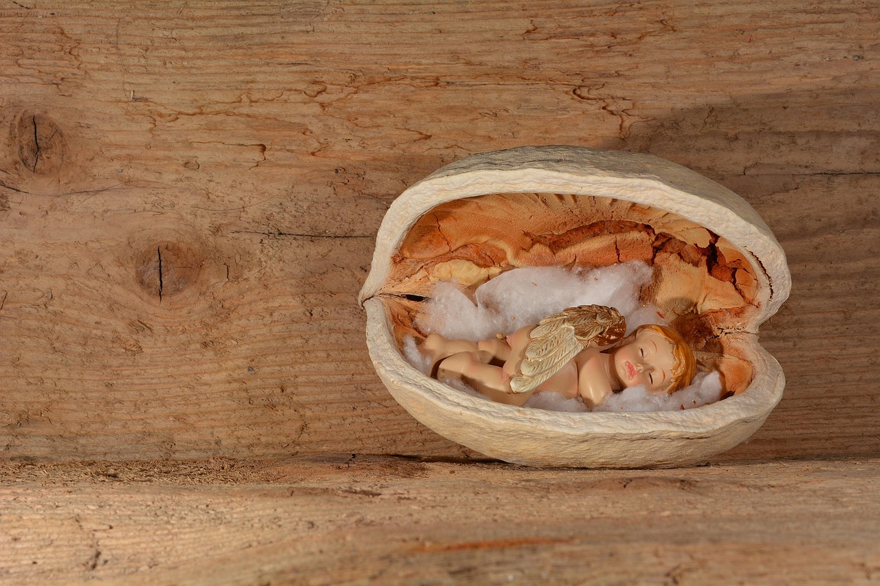 Angel Nut Walnut - Free photo on Pixabay - Pixabay