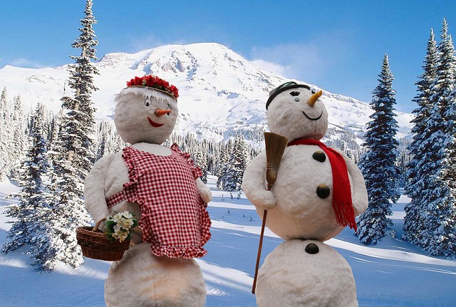 100+ Free Snowmen & Snowman Images - Pixabay