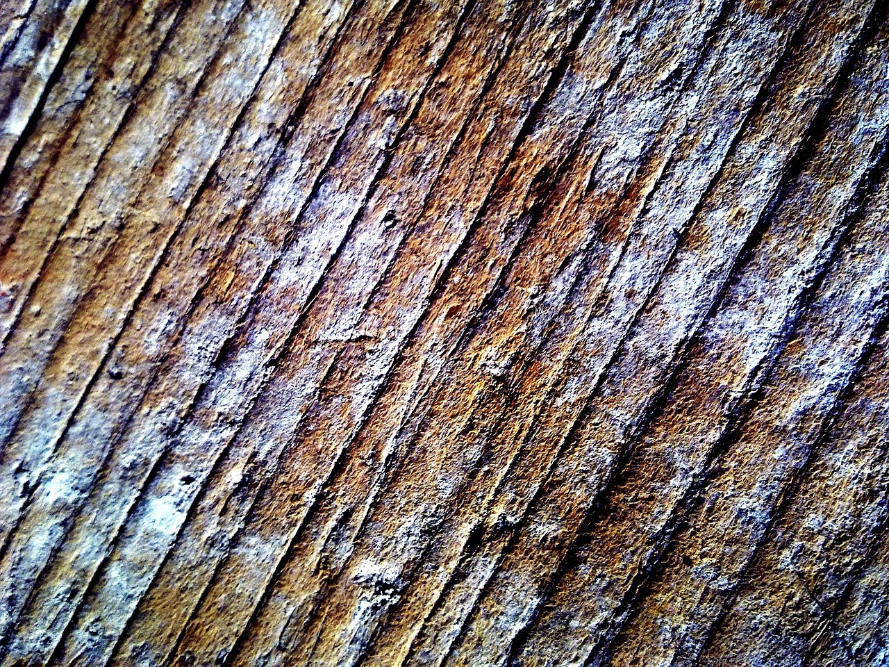 Wood Grain Structure - Free photo on Pixabay