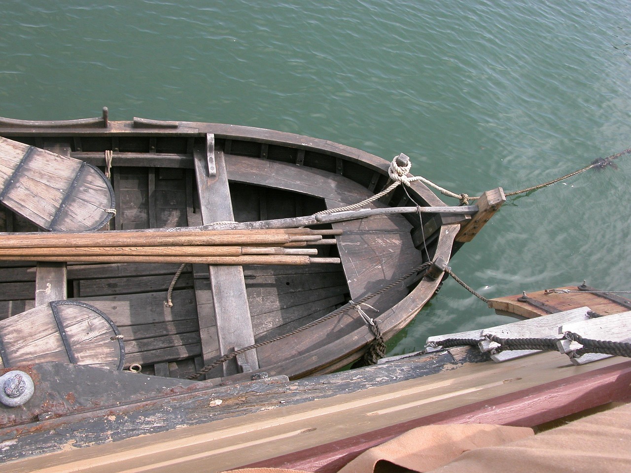 40+ Free Mayflower & Nature Images - Pixabay