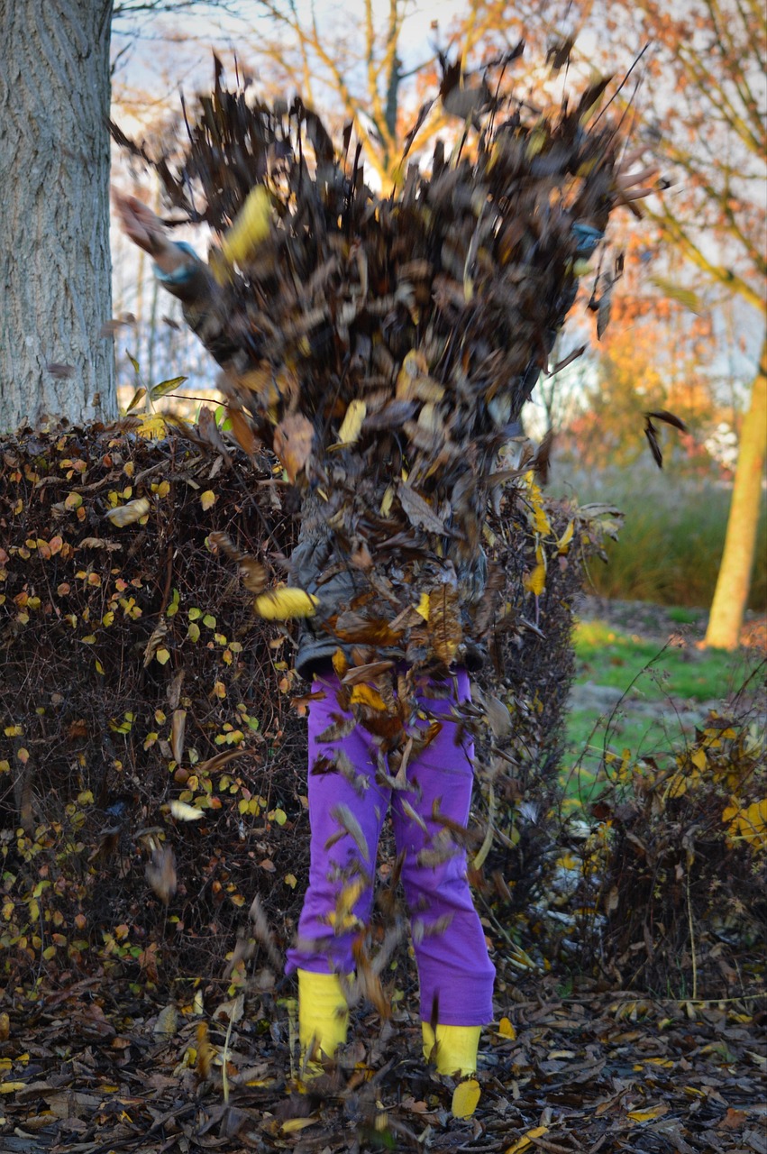 People Leaves Autumn - Free photo on Pixabay - Pixabay