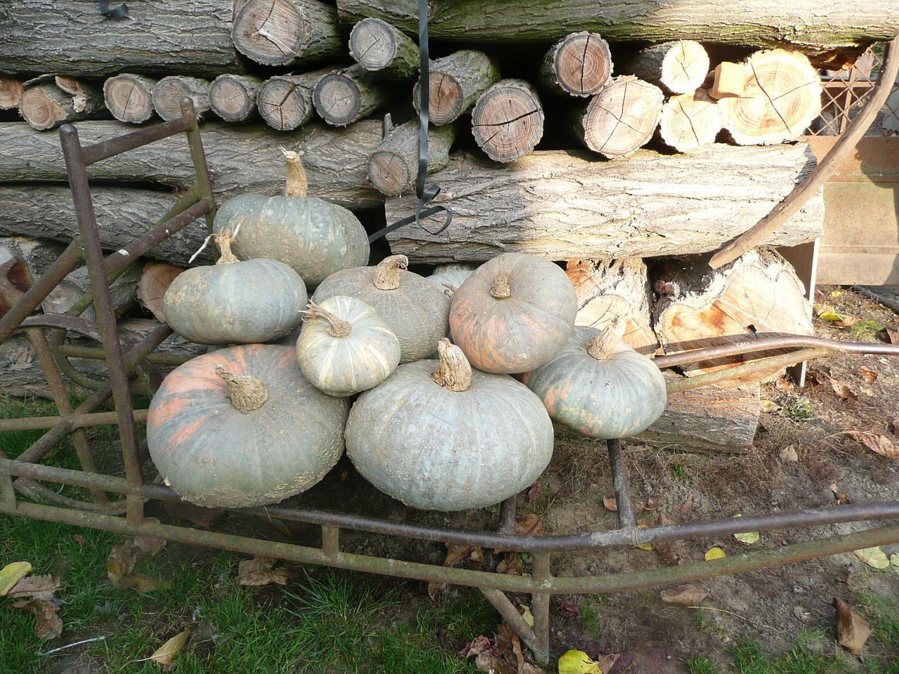 Pumpkins Work Halloween - Free photo on Pixabay - Pixabay