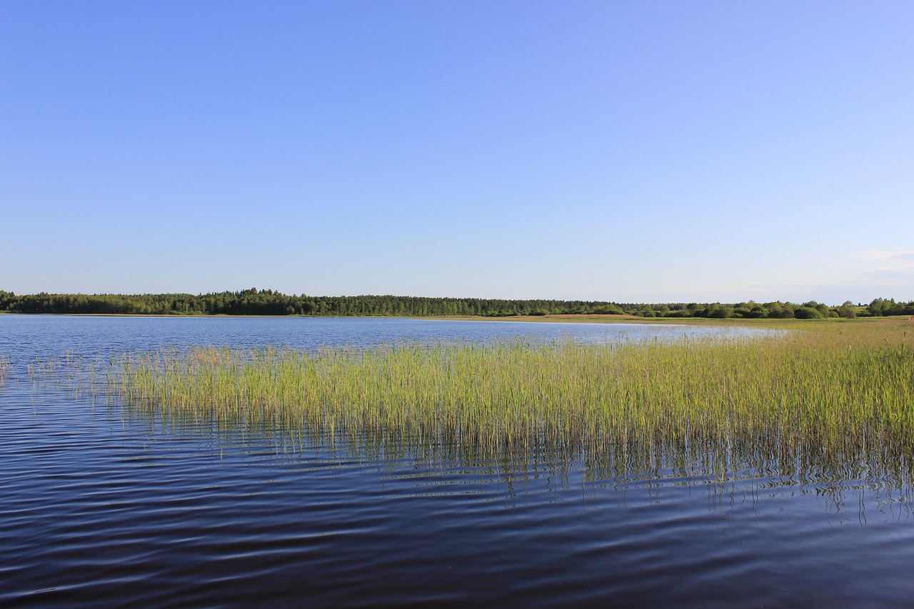 Strand Lake Die - Kostenloses Foto auf Pixabay - Pixabay