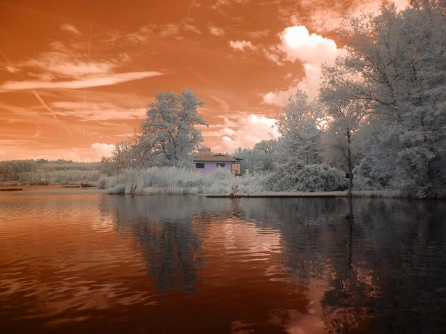 30,000+ Free Infrared Light & Infrared Images - Pixabay