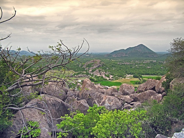 10,000+ Free Indian Land & Wheat Images - Pixabay