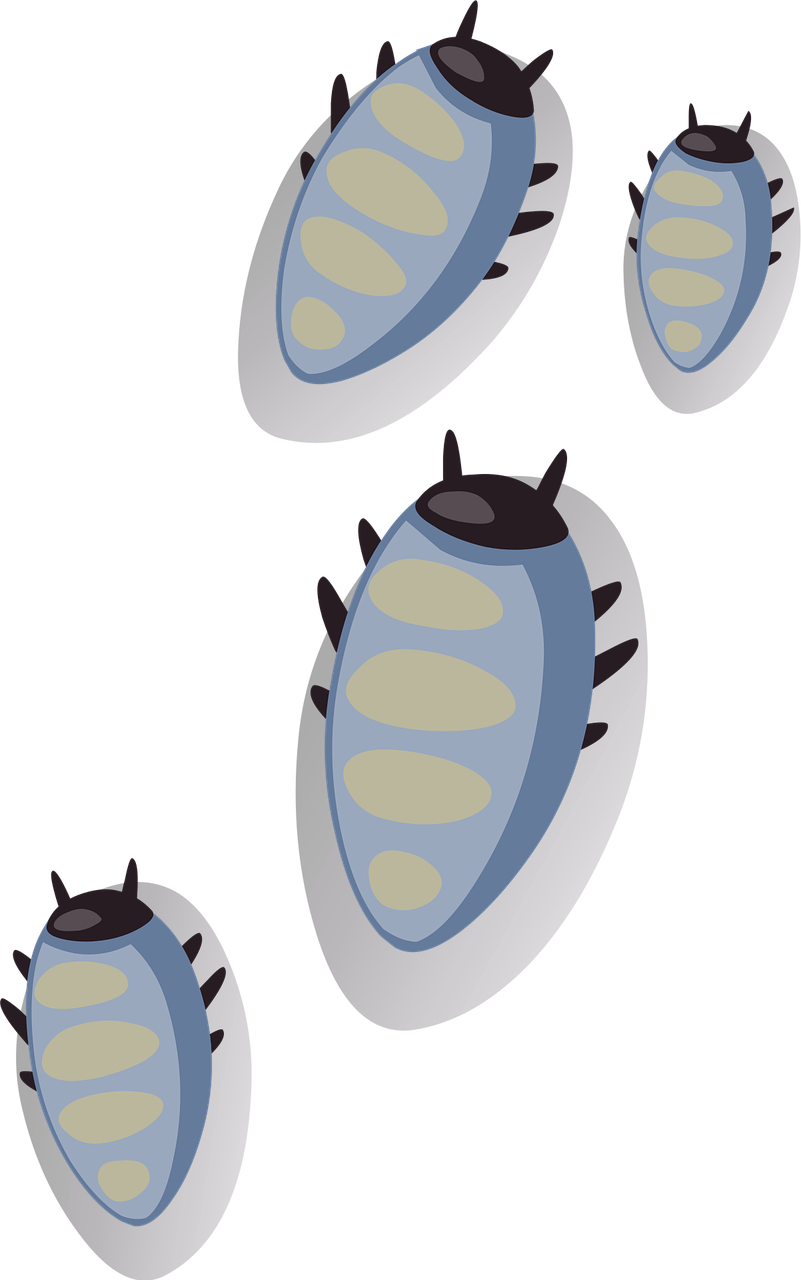 1,000+ Free Parasitism & Parasite Images - Pixabay