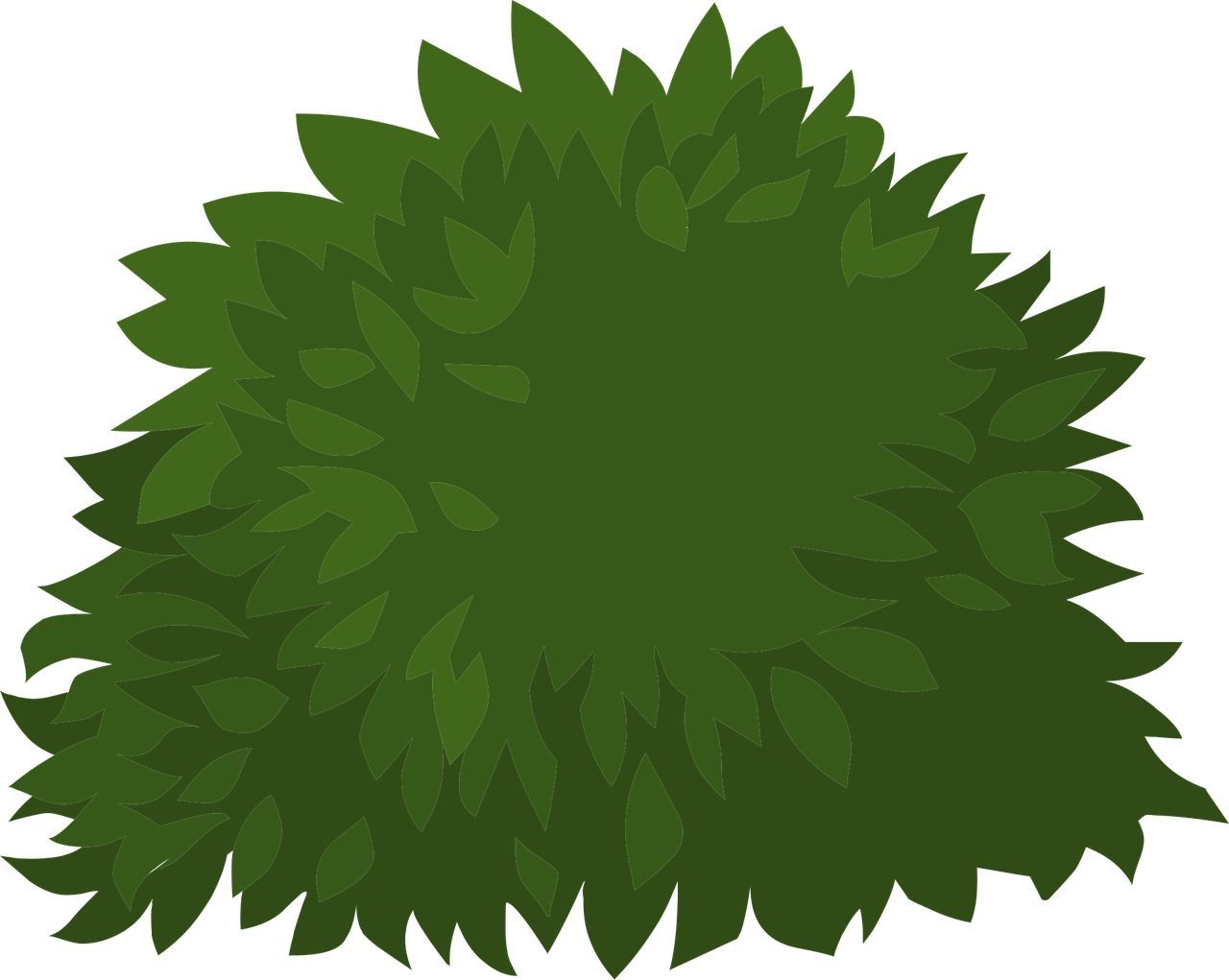 Struik Png Poster Eikenblad Hortensia Struik Op Een Witte Achtergrond