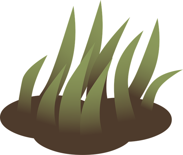 Download Grass, Plant, Nature. Royalty-Free Vector Graphic - Pixabay