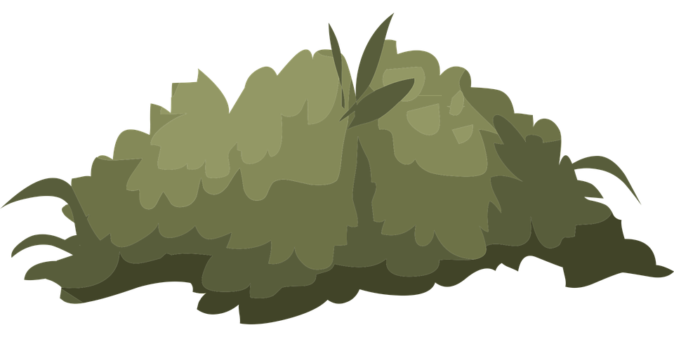 100+ Free Bushes & Bush Vectors - Pixabay