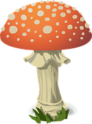 Warning Hazard Toxic - Free vector graphic on Pixabay