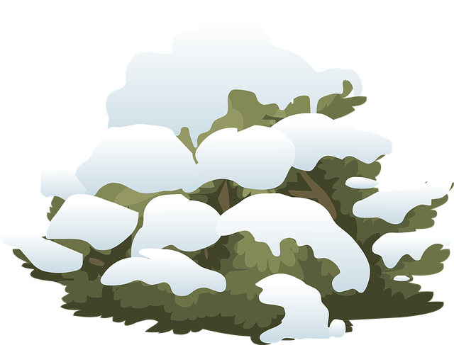 Bush Shrub Snow - Free vector graphic on Pixabay
