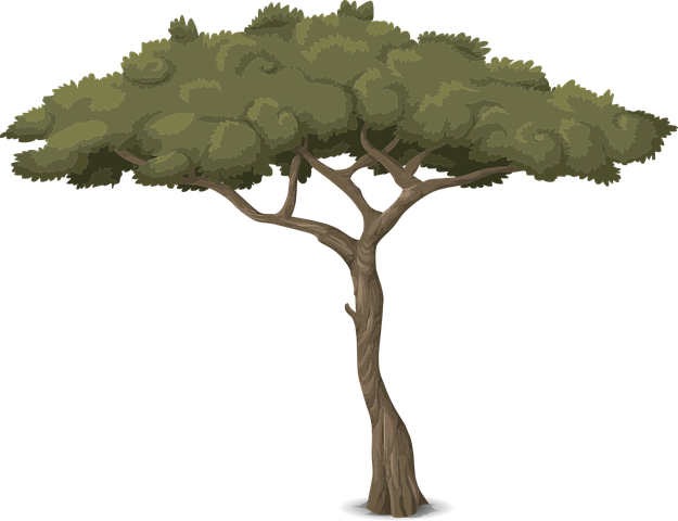 300+ Free Trunk & Tree Vectors - Pixabay