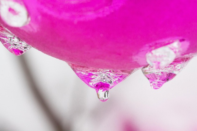 水滴 圣诞饰品 冬天 - Pixabay上的免费照片 - Pixabay