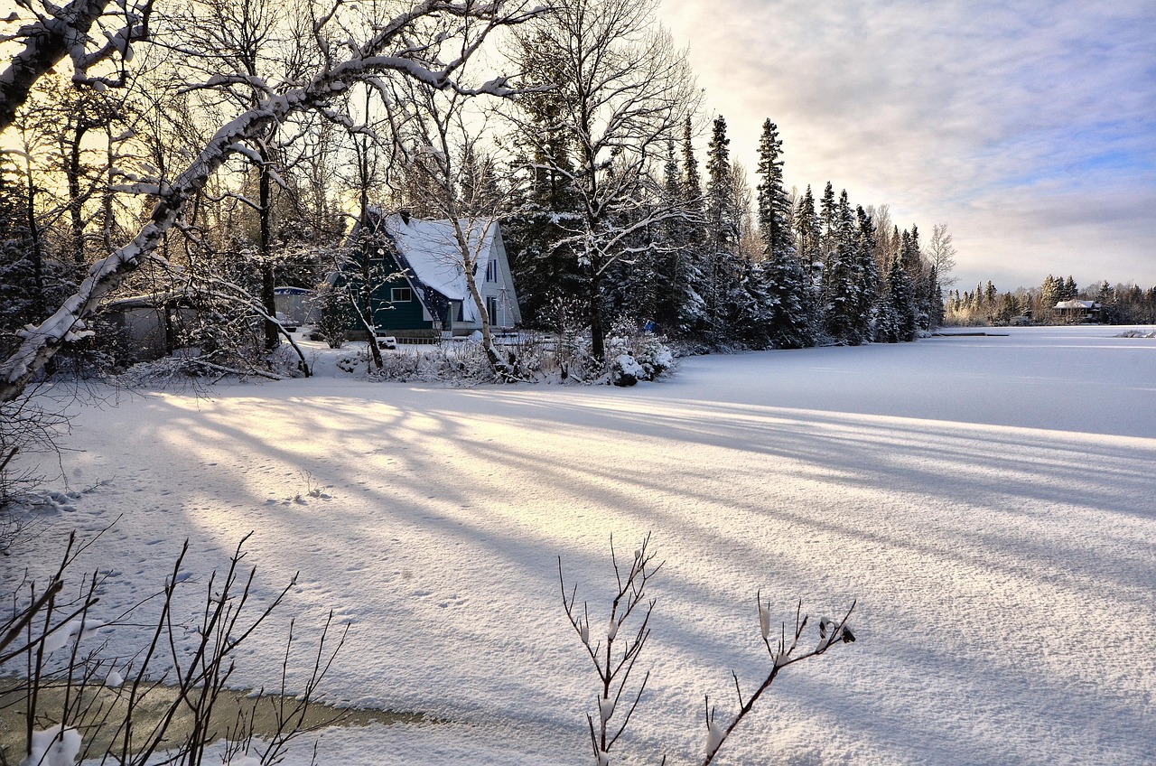Landscape Winter Snow - Free photo on Pixabay - Pixabay