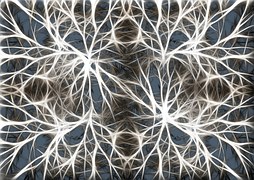 Neurons Brain Cells · Free image on Pixabay