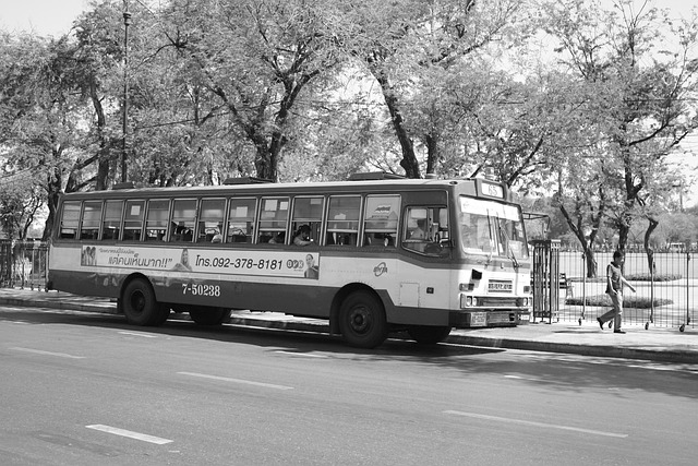 Autobús Negro Blanco - Foto gratis en Pixabay - Pixabay