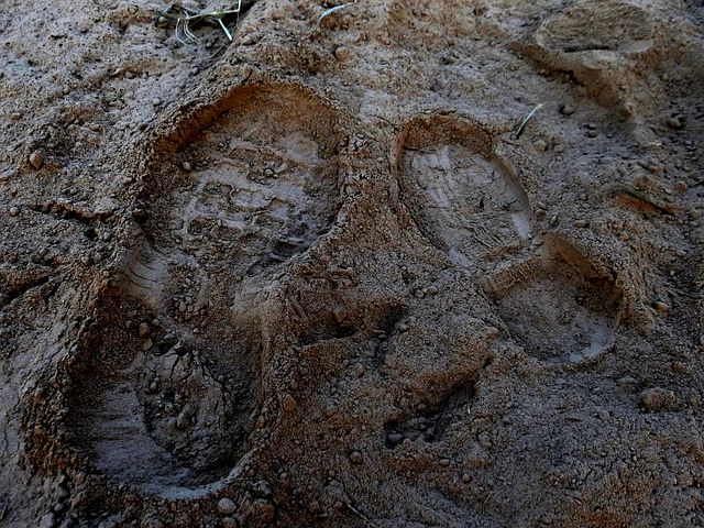 100+ Free Foot Prints & Foot Images - Pixabay