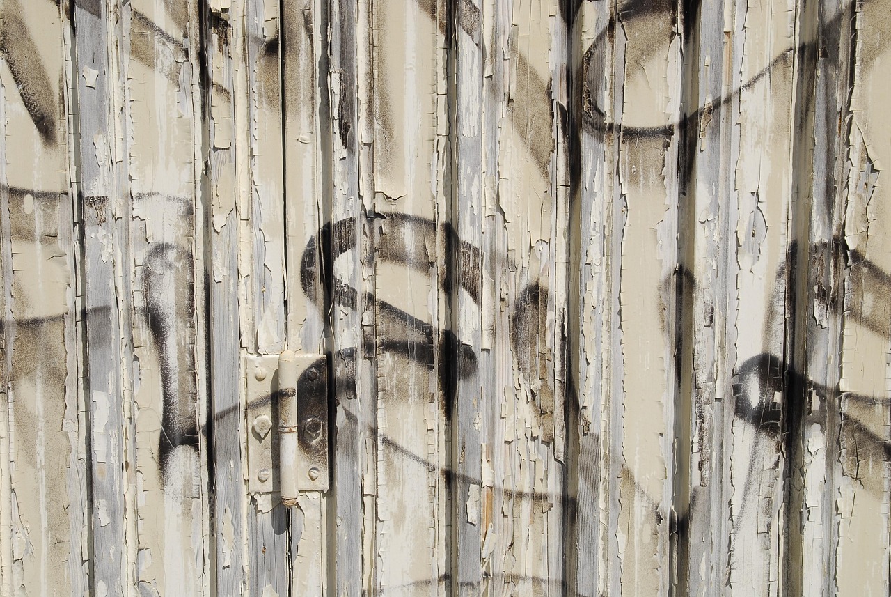 30+ Free Off-White Background & Background Images - Pixabay