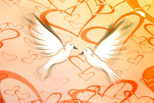 Love Dove Wallpaper