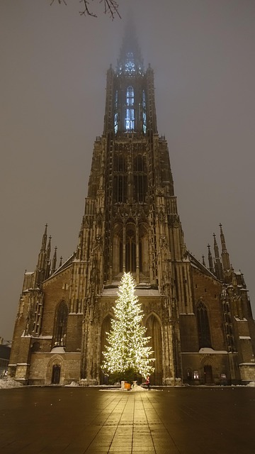 Ulm Minster Christmas Tree - Free photo on Pixabay - Pixabay