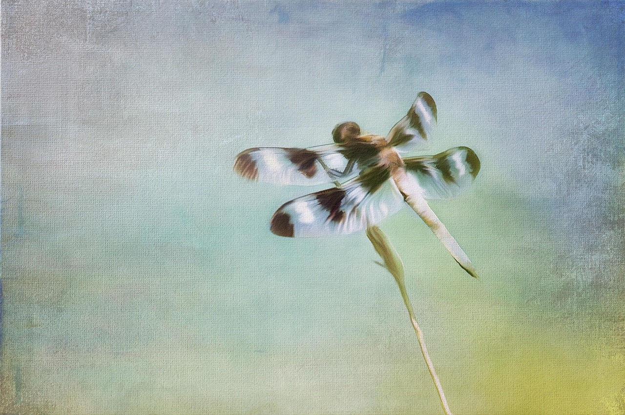 Painting Dragon Fly Nature - Free photo on Pixabay