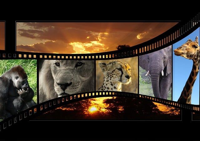 9,000+ Free Movie Posters & Poster Images - Pixabay