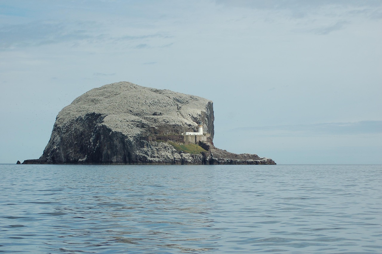 Bass Rock Island Lighthouse - Free photo on Pixabay - Pixabay