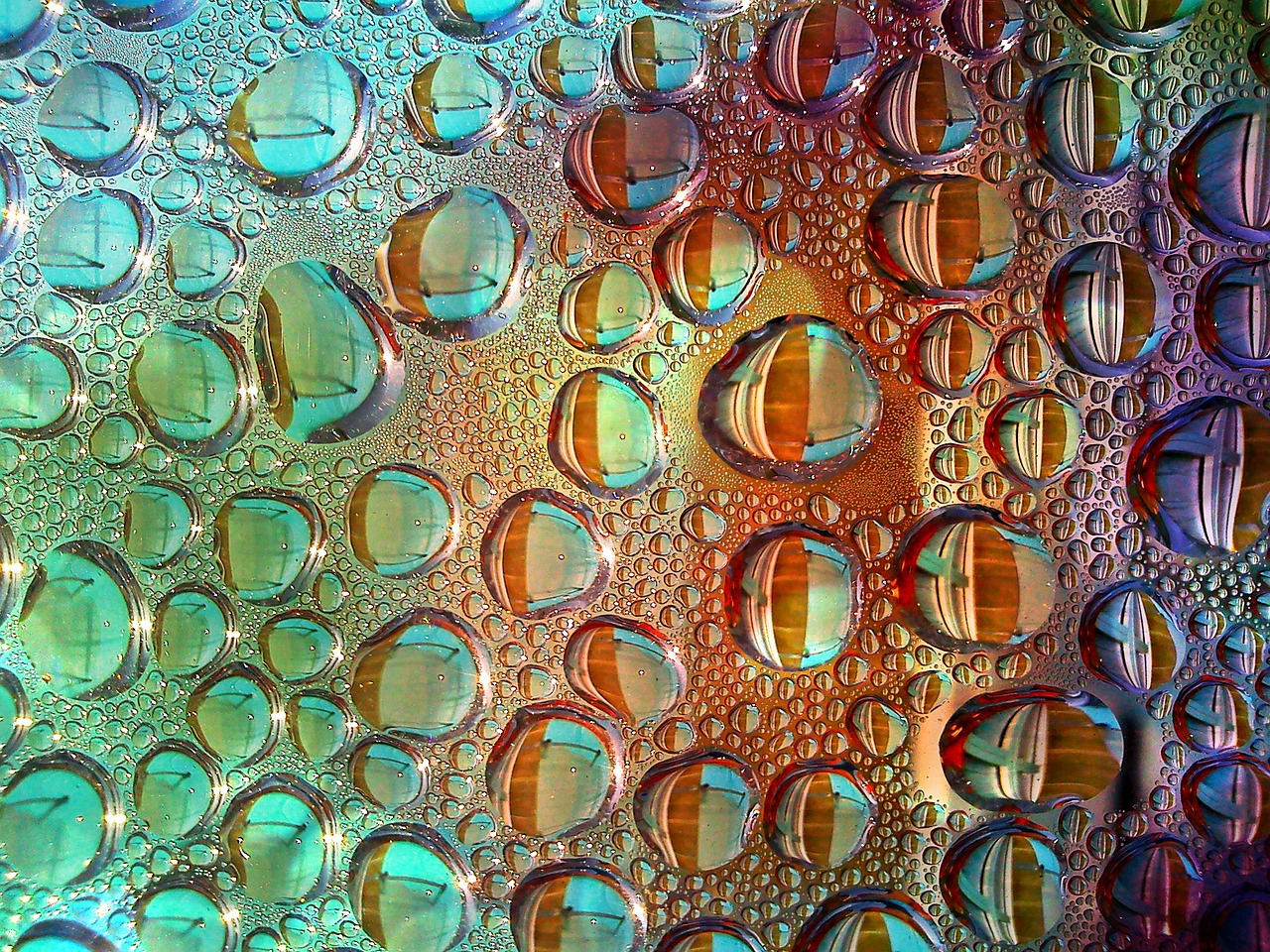 200,000+ Free Condensation Water & Condensation Images - Pixabay