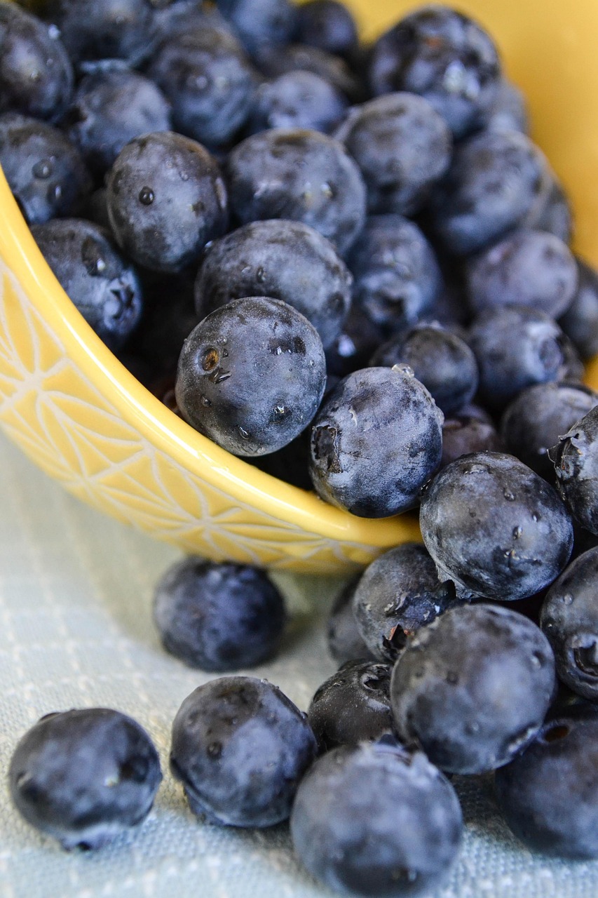 Blueberries Bowl Fresh - Free photo on Pixabay - Pixabay