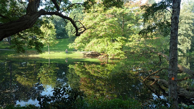 Bremen Civic Park Nature - Free photo on Pixabay