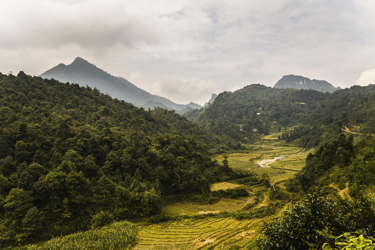 10,000+ Free Vietnam & Nature Images - Pixabay