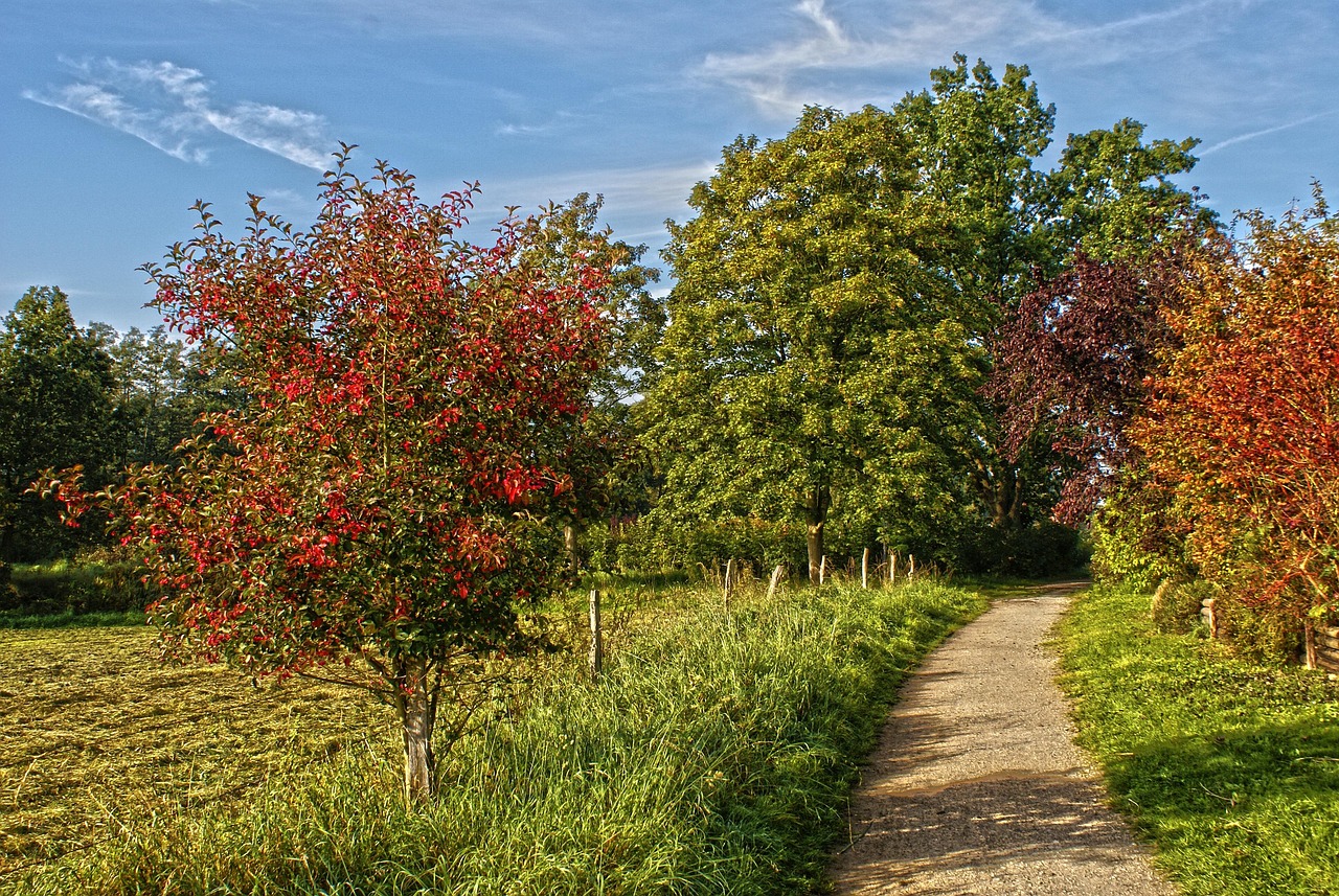 Hike Trail Spring - Free photo on Pixabay - Pixabay