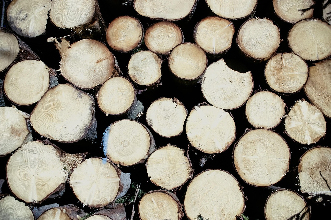 Wood Round Cut Down - Free photo on Pixabay