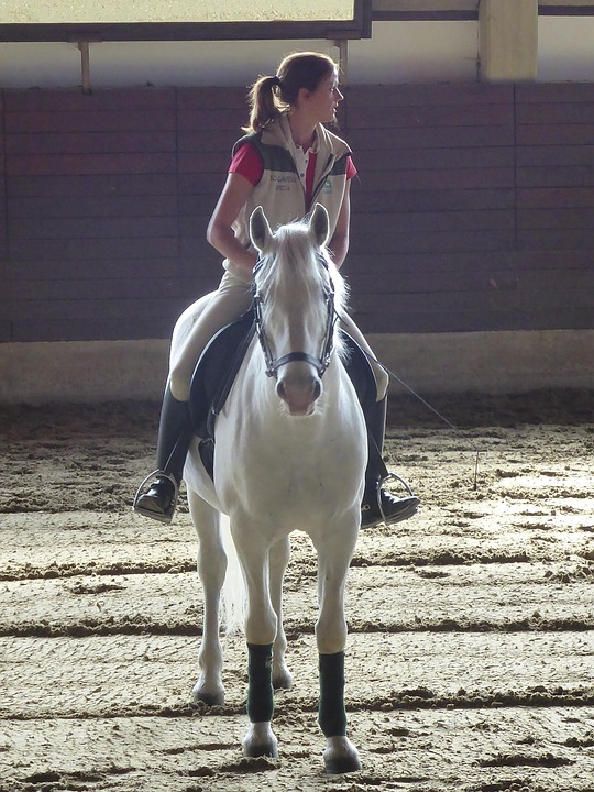 Pferd Fahrer Reiten · Kostenloses Foto auf Pixabay