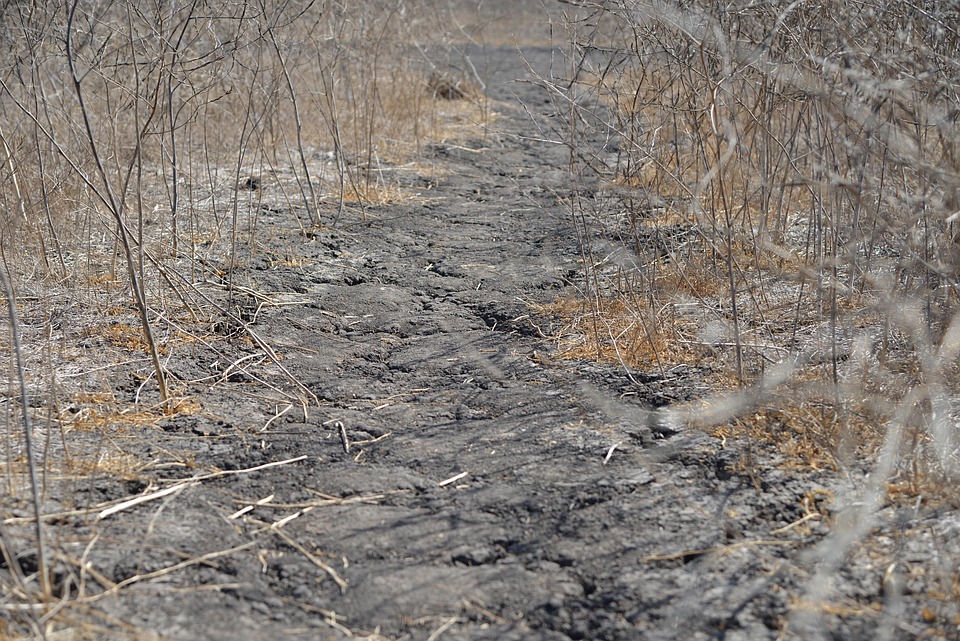 Drought Path Dry - Free photo on Pixabay
