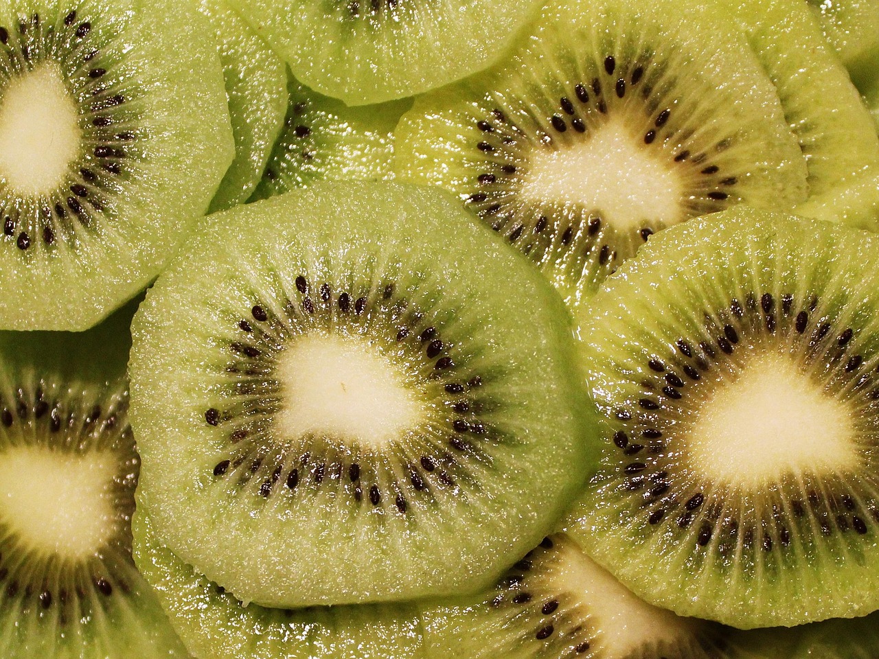 Page 2 - 300,000+ Free Kiwi Fruit Trees & Kiwi Images - Pixabay