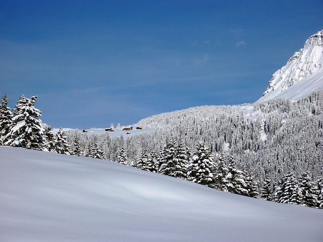 Inverno Neve Invernal - Foto gratuita no Pixabay - Pixabay