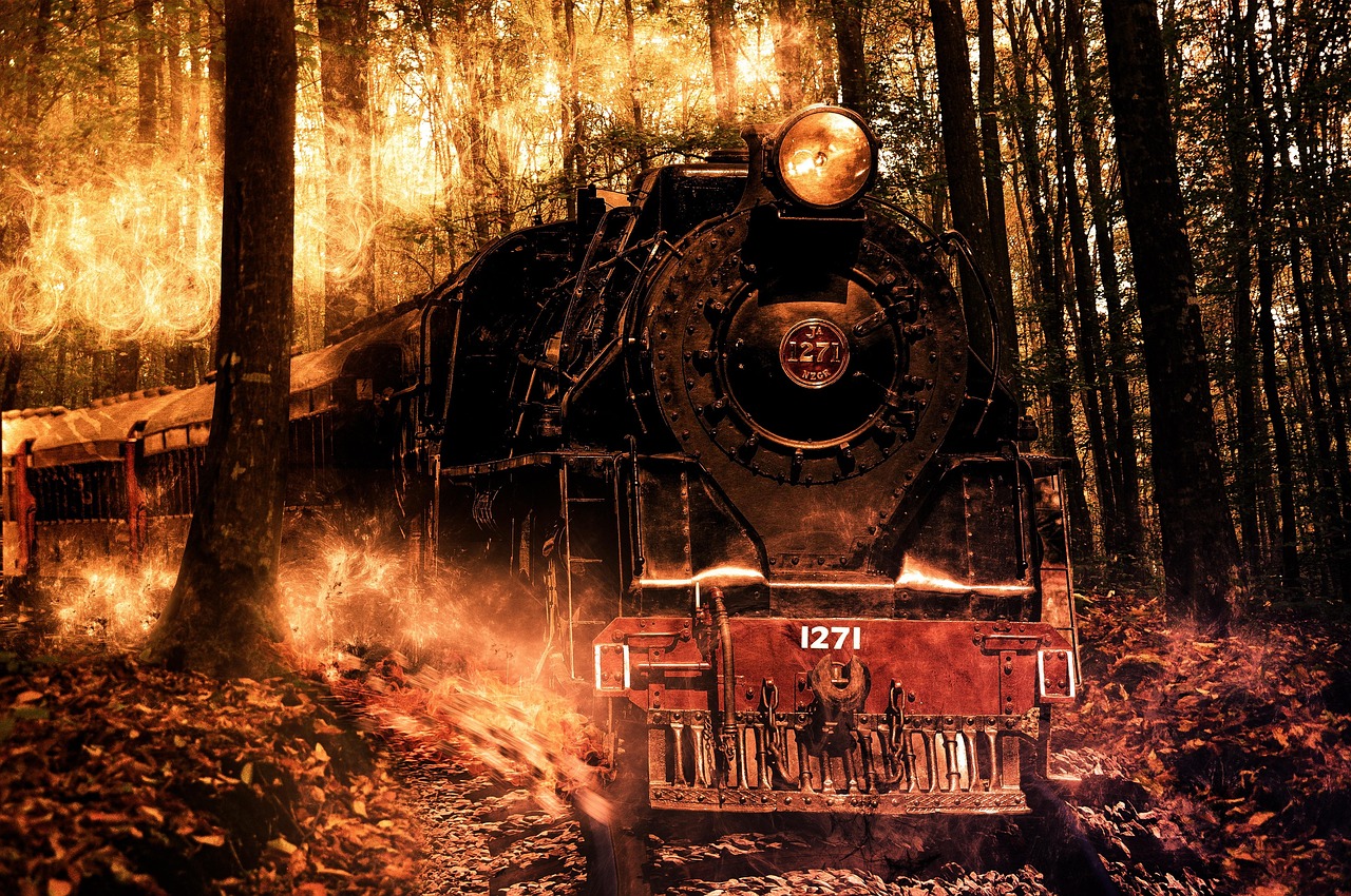 4,000+ Free Photoshop & Manipulation Images - Pixabay