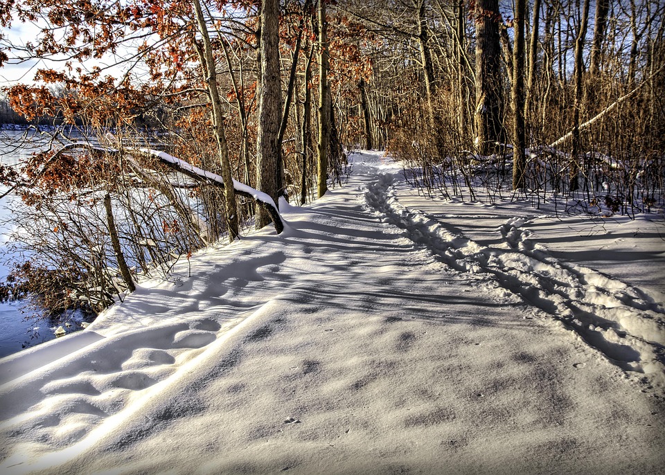 Path Snow Track - Free photo on Pixabay