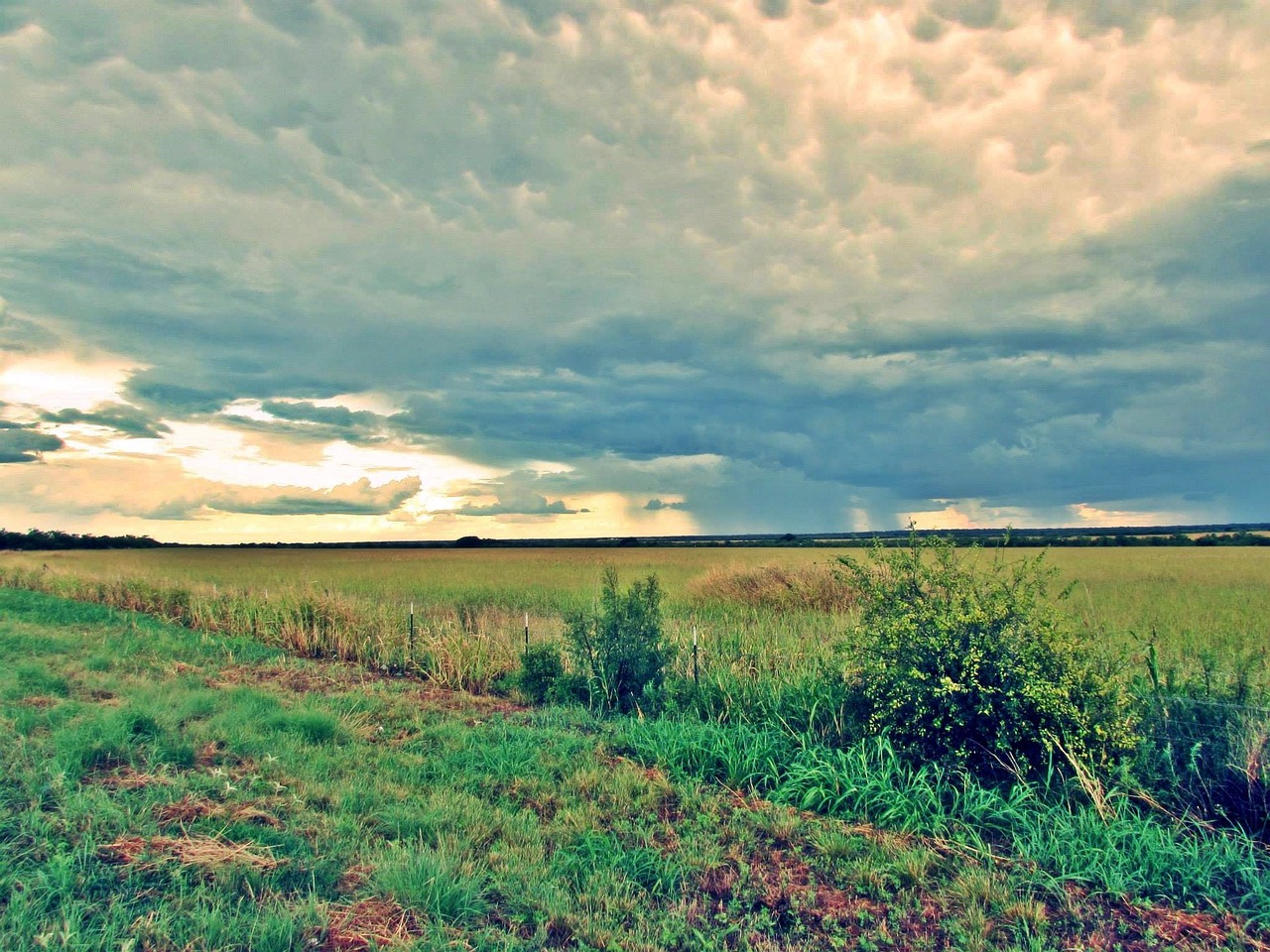 2,000+ of the Best Pictures of Texas in HD - Pixabay