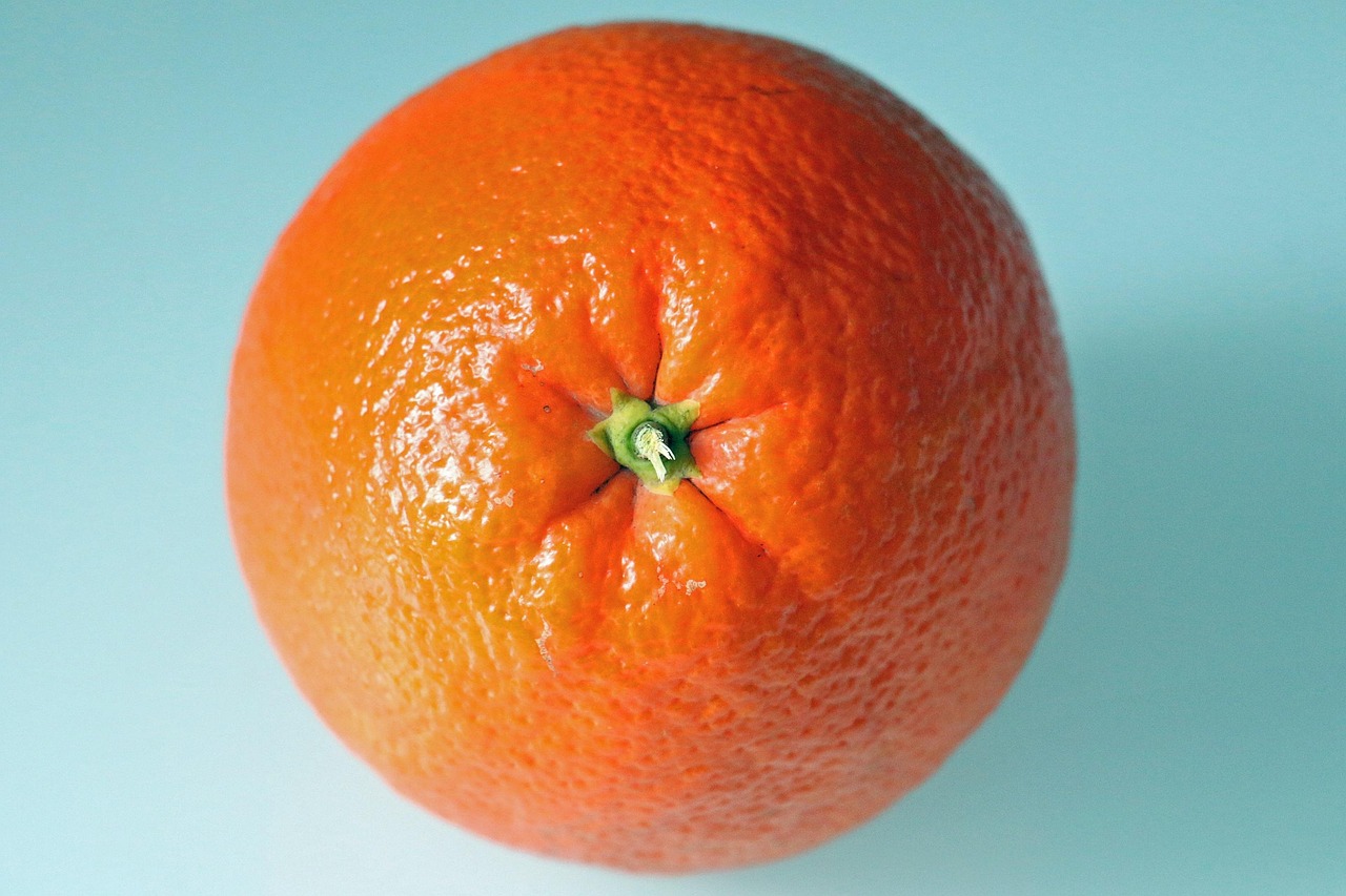Orange Agrumes Coquille - Photo gratuite sur Pixabay