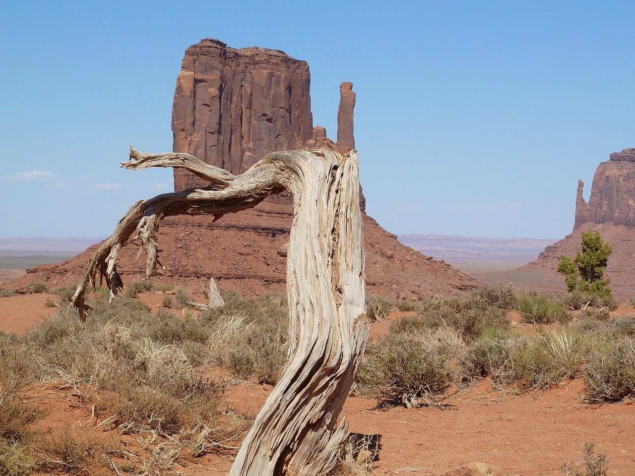 Monument Valley Tree America - Free photo on Pixabay - Pixabay