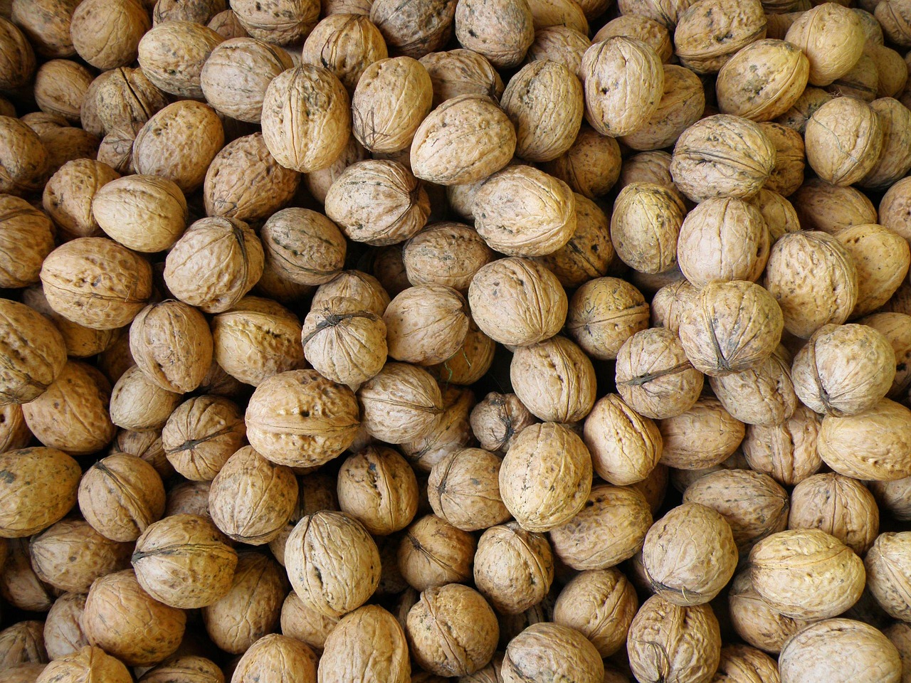 Walnuts Harvest Shelled - Free photo on Pixabay