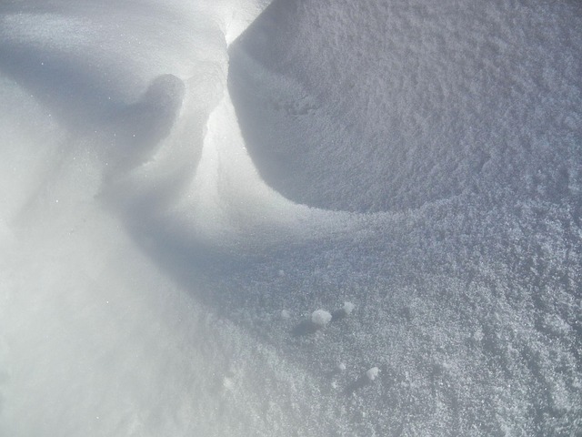 Fresh Powder Snow Sparkle - Free photo on Pixabay - Pixabay