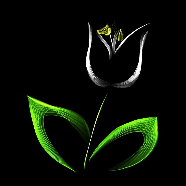 Tulipe Abstrait Blanche - Image gratuite sur Pixabay