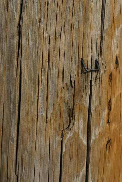Wood Texture Telephone Pole Brown - Free photo on Pixabay - Pixabay