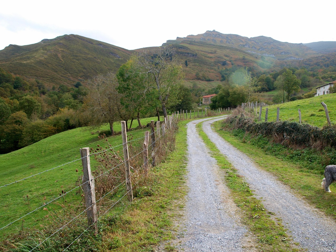 Path Nature Landscape Mountain - Free photo on Pixabay - Pixabay