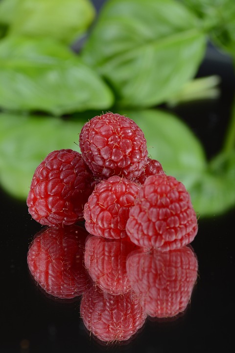 Raspberry Fruit Mirrors Mirror - Free photo on Pixabay - Pixabay